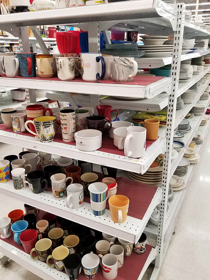 Mug heaven! Each cup with its own personality and history, just waiting for someone new to share morning coffee with.