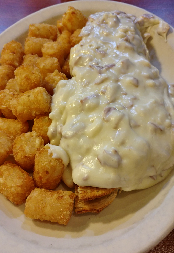 Comfort food mathematics: creamy gravy plus golden tater tots equals happiness on a plate. No advanced degree required.