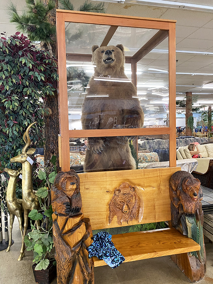 Meet the store's namesake guardian, forever frozen in mid-greeting. This impressive taxidermied bear watches over bargain hunters with a permanent look of surprise. 