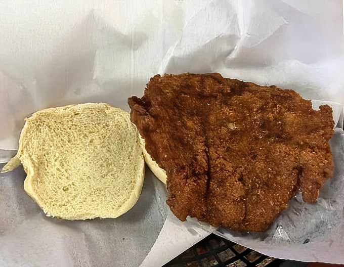 The breaded tenderloin—Indiana's unofficial state sandwich—spilling gloriously beyond its bun boundaries. Bread is merely a suggestion here.
