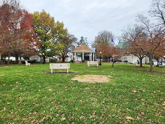 The town green in autumn is where Bridgeville shows off its seasonal wardrobe, with trees dressed in their fall finest and benches perfect for post-pie contemplation.