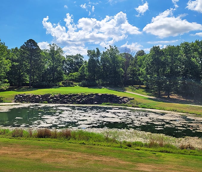 Nature provides the best backdrop at Eagle Mountain, where serene water features and rolling greens offer peaceful recreation without country club prices.