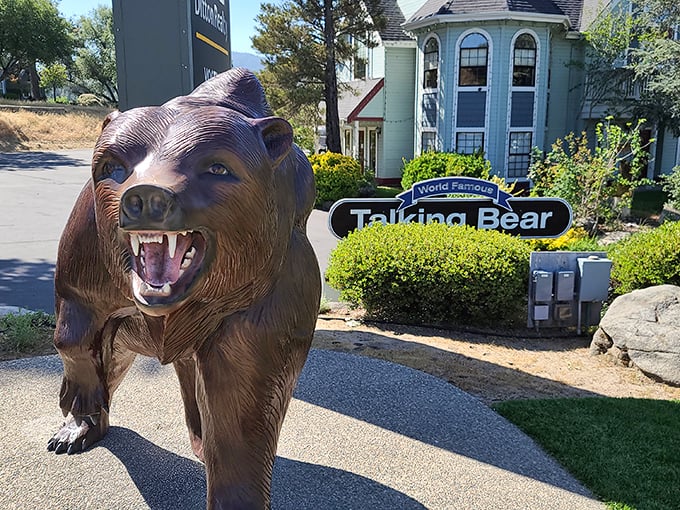 The Talking Bear statue stands guard outside a local business, proving Oakhurst has mastered the art of quirky charm without the pretension.