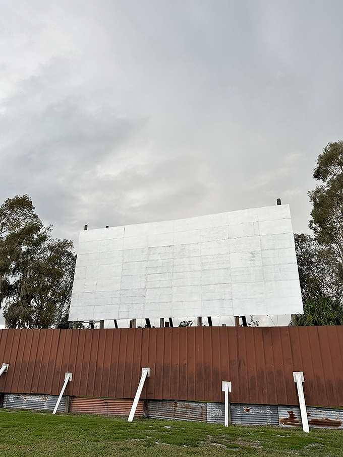 Twilight transforms the drive-in into a communal living room, where strangers become neighbors united by flickering light and storytelling.
