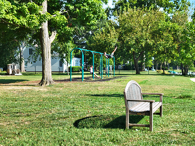 This town park bench isn't waiting for just anyone—it's saving a spot for those wise enough to appreciate the art of doing nothing.