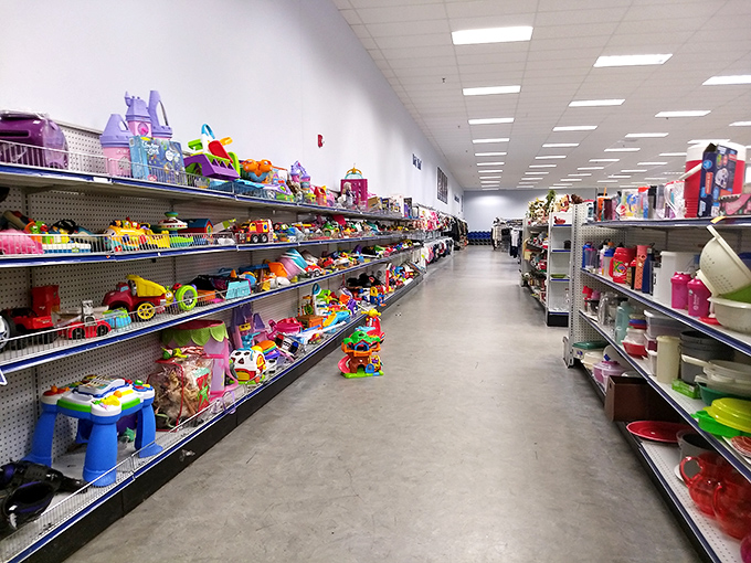 Toy paradise or plastic purgatory? Either way, this aisle offers childhood nostalgia by the pound and imagination fuel at prices that won't break the piggy bank.