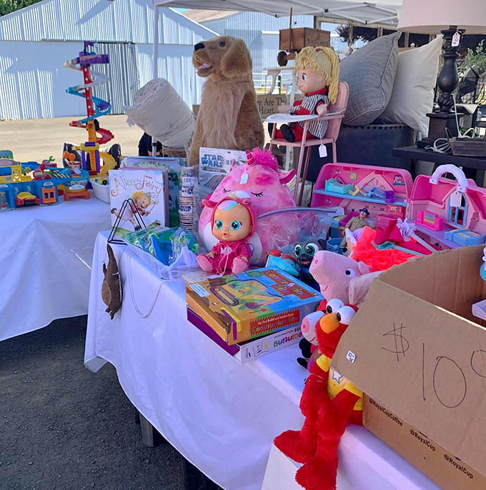 Childhood nostalgia by the boxful! These toys aren't just plastic and stuffing—they're time machines to Saturday mornings and summer vacations.