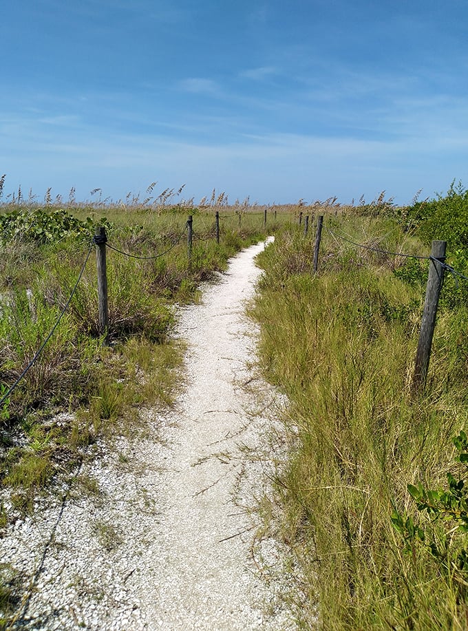 The path less traveled actually exists, and it looks exactly like this&mdash;a sandy trail through sea oats leading to your own private beach moment.