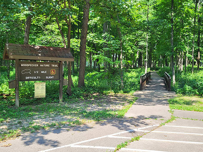 The Woodpecker Nature Trail &ndash; where "slight difficulty" means you might have to put down your coffee for that one tricky step.