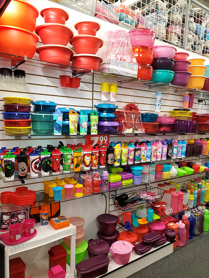 A rainbow explosion of kitchen containers that would make Marie Kondo weep with organizational joy. Leftovers never looked so good.