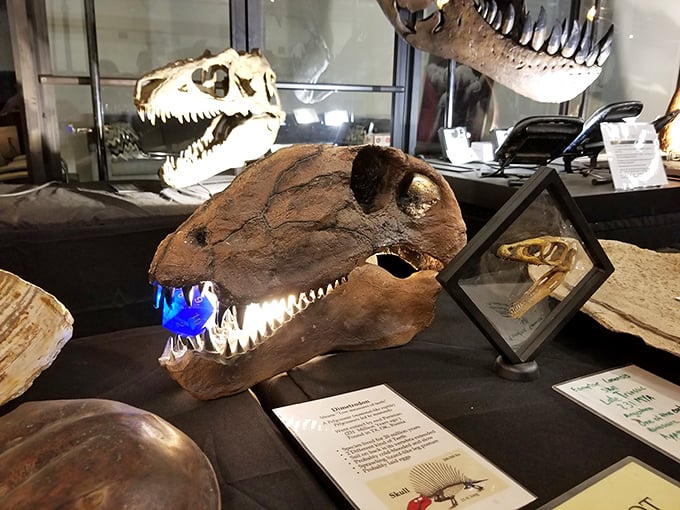 Jurassic spark! This prehistoric conversation piece proves the Tupelo Flea Market truly has everything from the practical to the paleontological.