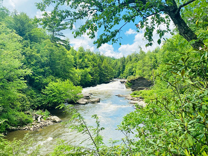 Upper Swallow Falls demonstrates water's patient artistry. Thousands of years of gentle persistence created this masterpiece that makes human sculptors look like amateurs.