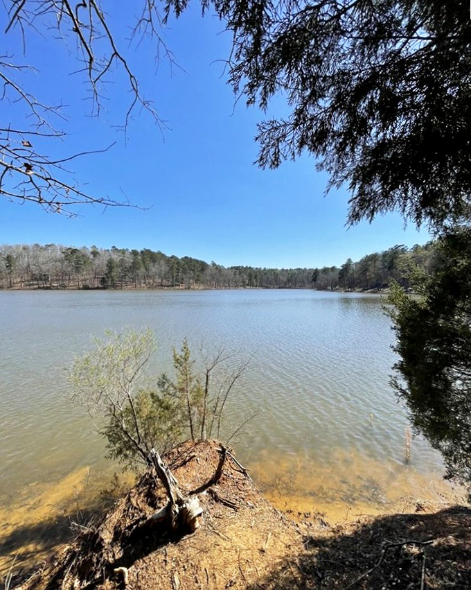 Haynes Lake stretches out like a mirror, reflecting both sky and forest. Perfect for contemplating life or just wondering what's for lunch.