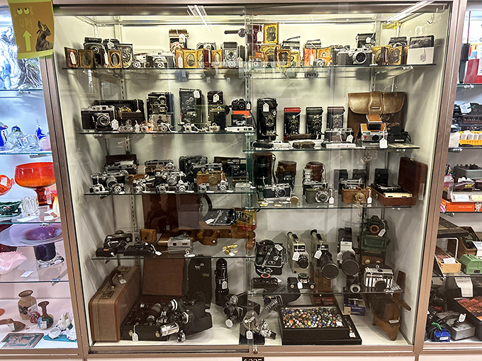 Vintage cameras that captured someone's wedding, vacation, or baby's first steps long before smartphones made everyone a photographer. Each one a mechanical time machine.