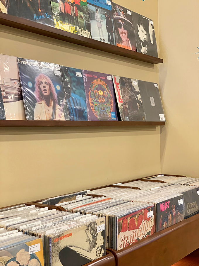 Album covers line the walls like portraits in a musical hall of fame. Spot Frampton, Grateful Dead, and other legends waiting to be rediscovered.