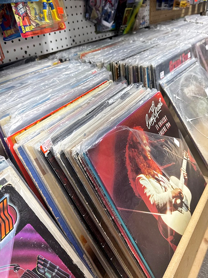 Vinyl records filed with care, each album cover a time capsule of fashion choices we've collectively agreed to forget.