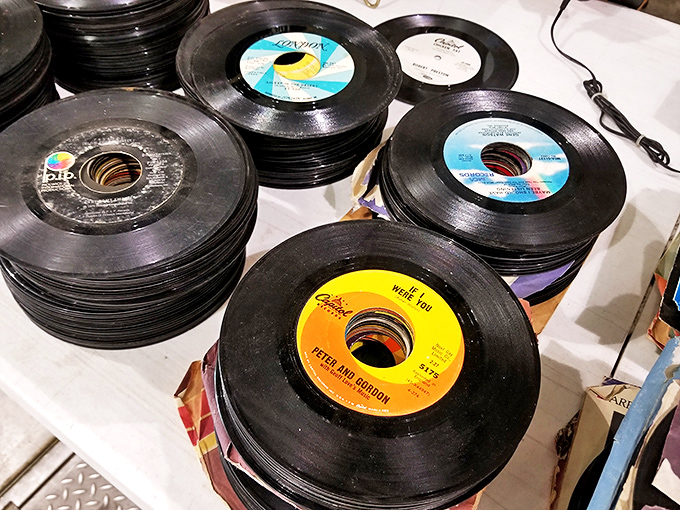 Vinyl heaven for audiophiles! These spinning time machines transport you back to when music was something you could actually hold.