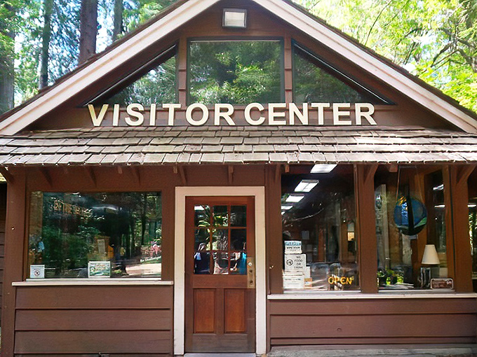 The rustic visitor center serves as your gateway to wilderness wisdom. Stop here first or forever wander wondering what that plant was.