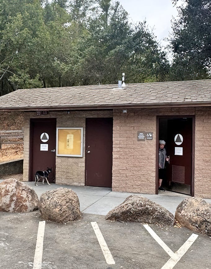 Even the facilities at China Camp embrace rustic charm &ndash; this isn't five-star accommodation, but the view outside beats any hotel room.
