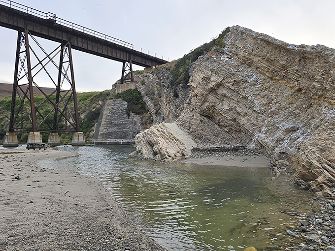 Where Gaviota Creek meets the ocean, creating a brackish ecosystem that's basically nature's own science experiment in real-time.