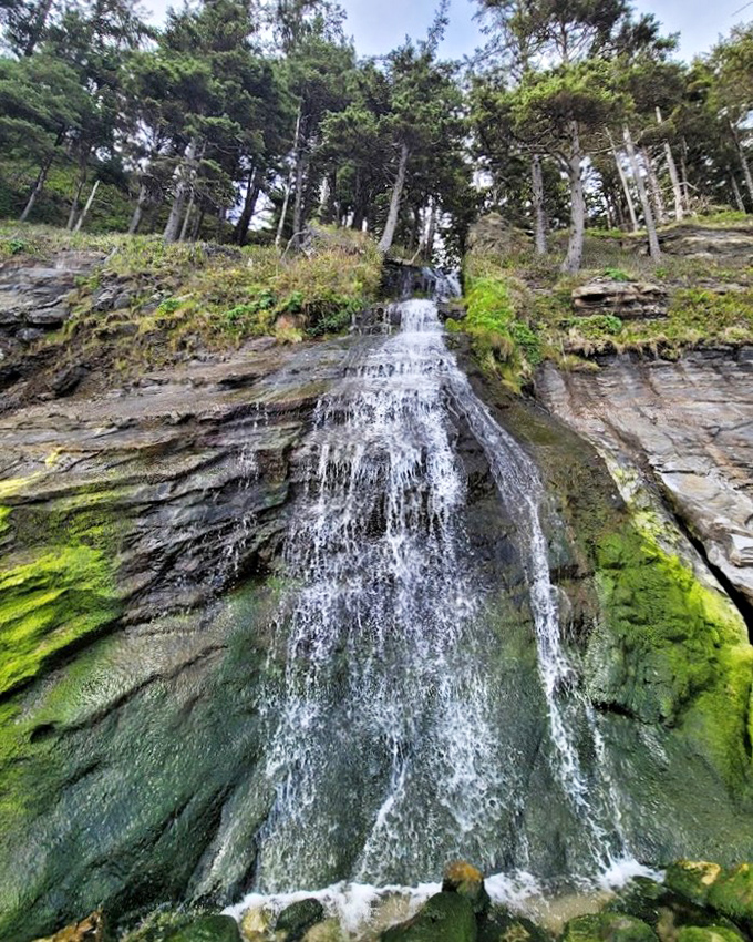 Water finding its way, one persistent drop at a time, creating beauty that no human architect could design.