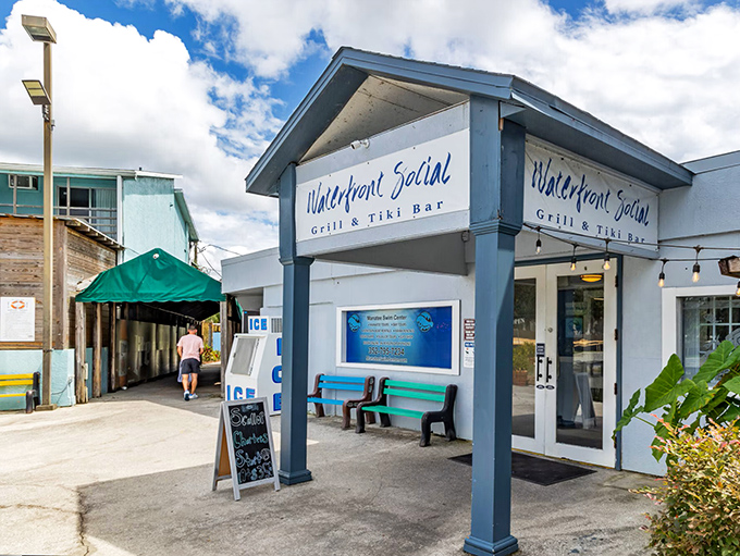 The Waterfront Social isn't just a restaurant—it's Crystal River's living room where the cocktails come with complimentary sunset views and local gossip.