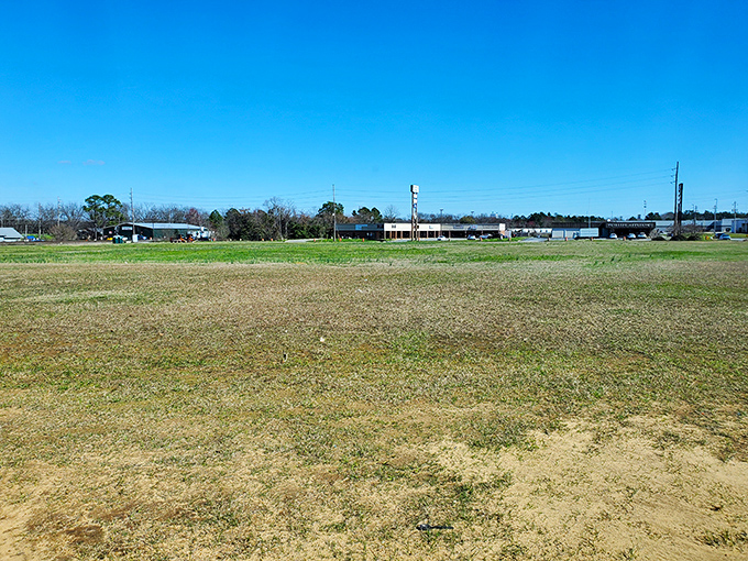 Wide open spaces under that famous Georgia blue sky&mdash;Williams Field offers a canvas of possibility where community gatherings unfold throughout the year.