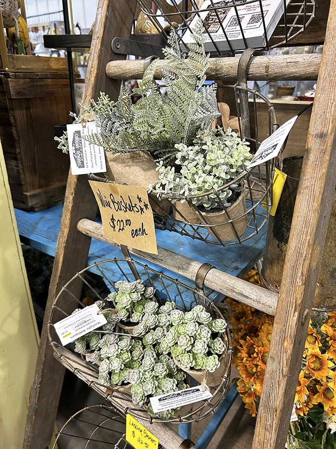 Rustic ladder meets modern farmhouse chic. These succulents require no water, no sunlight, and absolutely zero gardening skills&mdash;my kind of plants!