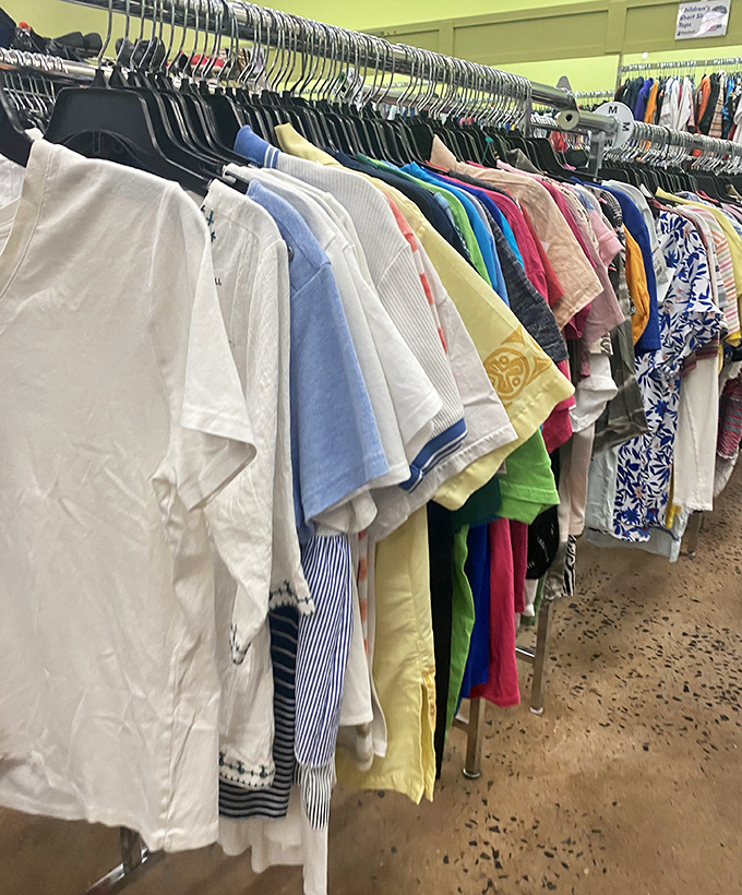 A rainbow of possibilities hangs in perfect order. Summer shirts and spring blouses waiting for their second act on a new stage.