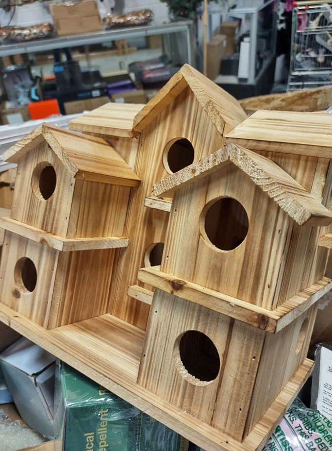 Rustic birdhouses waiting for feathered tenants. At these prices, you could become the Zillow of the bird world overnight.