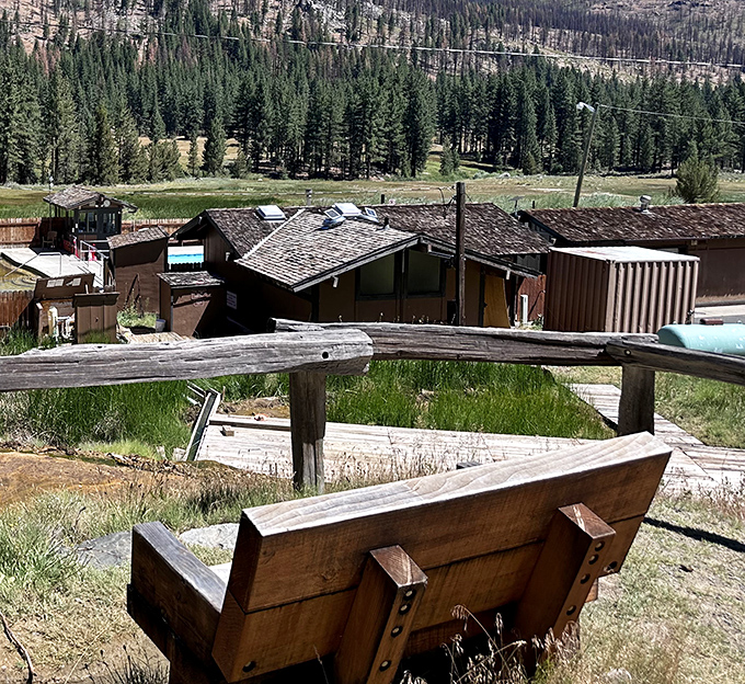 The park's rustic facilities blend harmoniously with the landscape, proving sometimes the best architecture is the kind that knows its place.