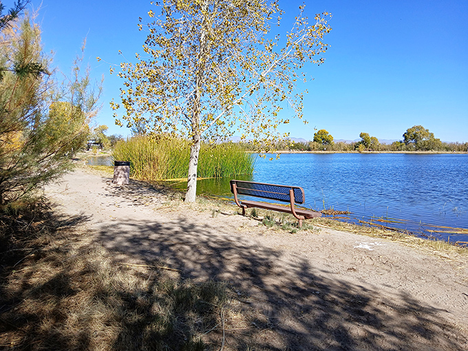 That bench isn't just sitting there by accident &ndash; it's strategically placed for maximum "wow" factor when the afternoon light hits just right.