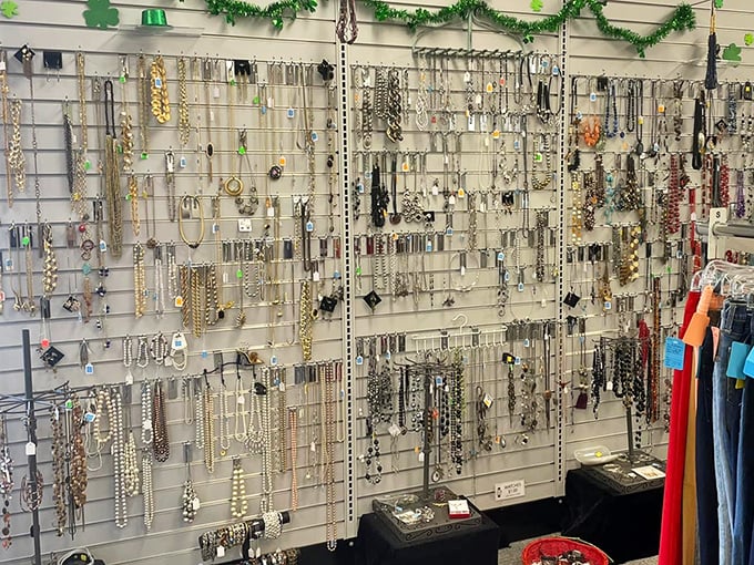 Wall-to-wall jewelry that transforms "I have nothing to wear" into "I have exactly the necklace for that" in seconds flat.