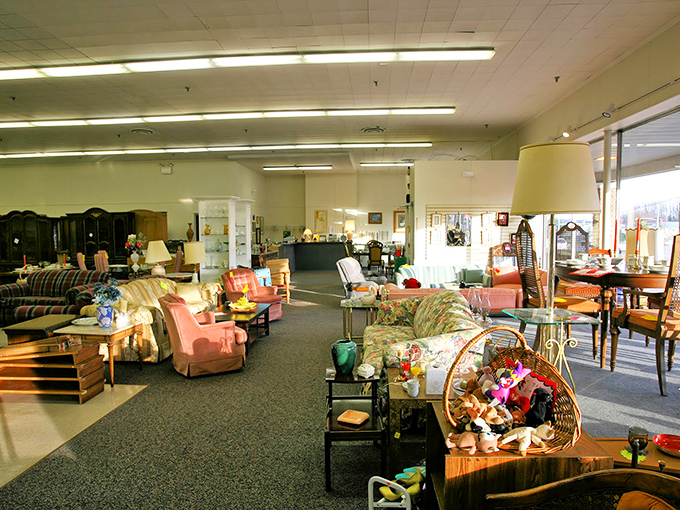 Wide aisles and thoughtful organization make browsing a pleasure rather than an archaeological dig—unlike your teenager's bedroom.