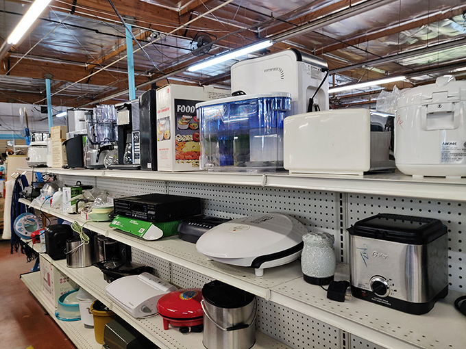 Kitchen appliance heaven or small appliance purgatory? Either way, these countertop time capsules are waiting to make someone's morning routine complete again.