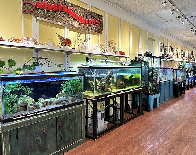 Who knew an outlet mall housed an underwater wonderland? These aquariums offer a moment of zen between shopping sprints.