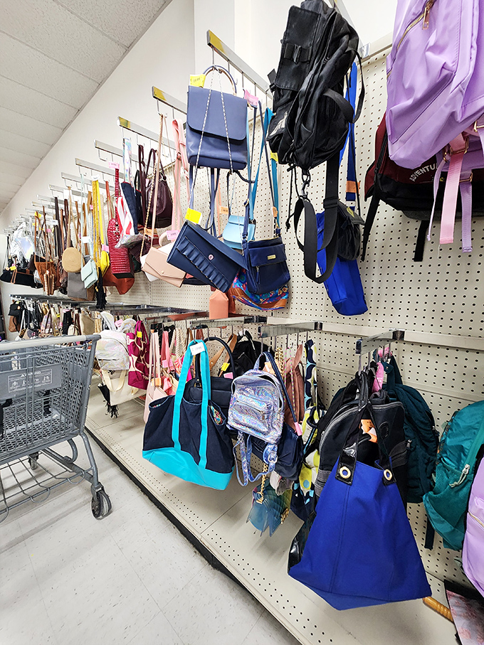 Bag lady's dream come true! Every purse, tote, and backpack represents a different lifestyle, adventure, or fashion era waiting to be rediscovered.