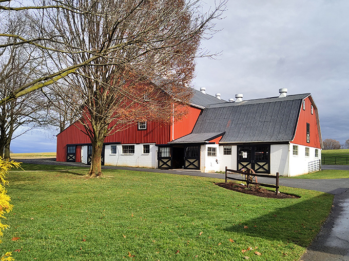 Classic Americana doesn't get more picture-perfect than this red barn standing proudly against Lancaster County's rolling farmland.