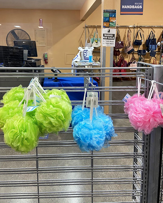 Bath accessories in technicolor brilliance hang like tropical fruits, promising to brighten even the most utilitarian shower routine.