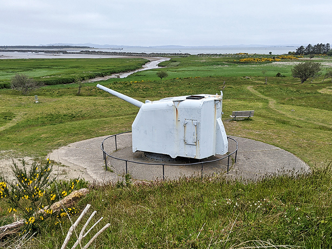 This massive coastal gun once stood ready to defend America's shores. Now it silently watches over picnicking families and curious history buffs.