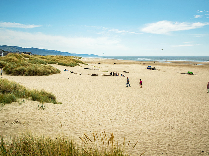Nature's sandbox stretches as far as the eye can see, with driftwood sculptures courtesy of the Pacific and dune grass swaying like dancers in the breeze.