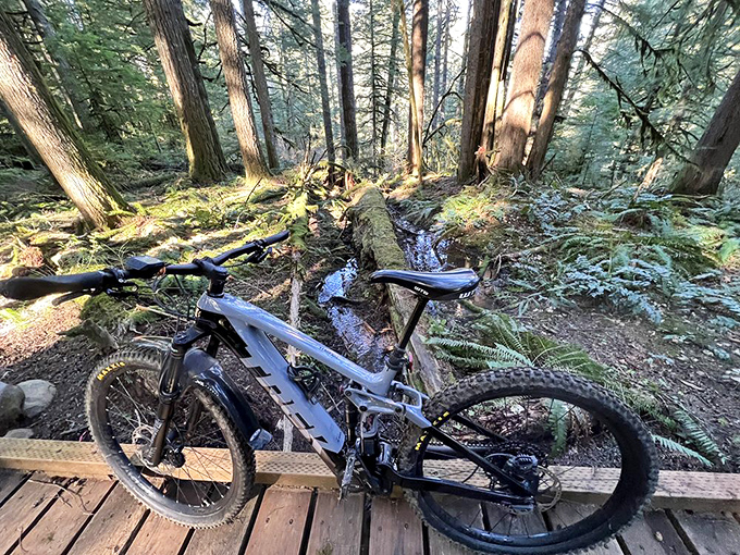 Mountain biking trails offer thrills without the crowds, perfect for when you want your adrenaline rush with a side of solitude.