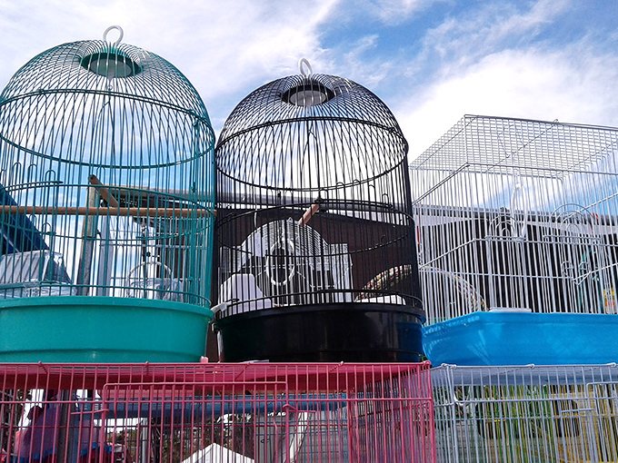 Decorative birdcages add unexpected charm to the marketplace, proving you never know what treasures await around each corner.