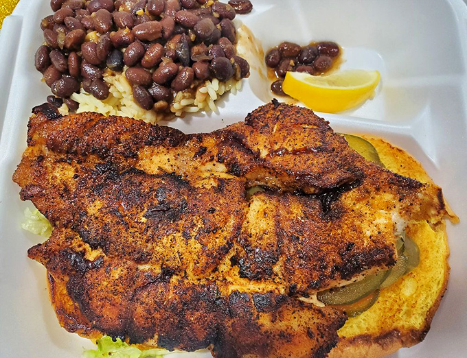 Blackened grouper with the perfect spice crust, sitting atop rice and beans. Florida on a plate, no passport required.