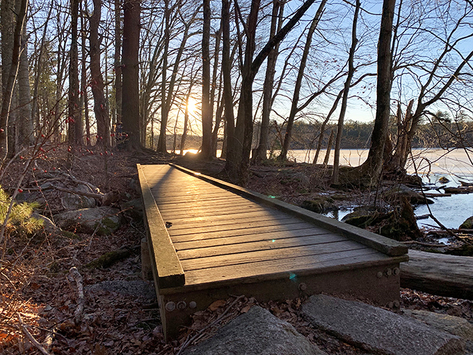 Dawn's golden light transforms this simple boardwalk into a pathway to somewhere magical&mdash;like finding Narnia in your own backyard.