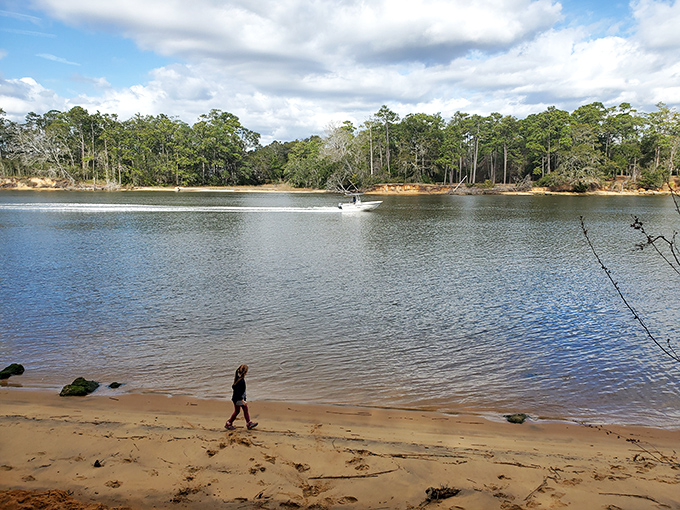 Where land meets water, adventure begins. The park's waterways invite exploration, whether you're seeking fish or simply a different perspective.
