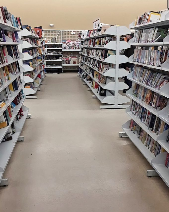 Between these literary corridors, you'll find everything from forgotten bestsellers to that cookbook your grandmother swore by decades ago.