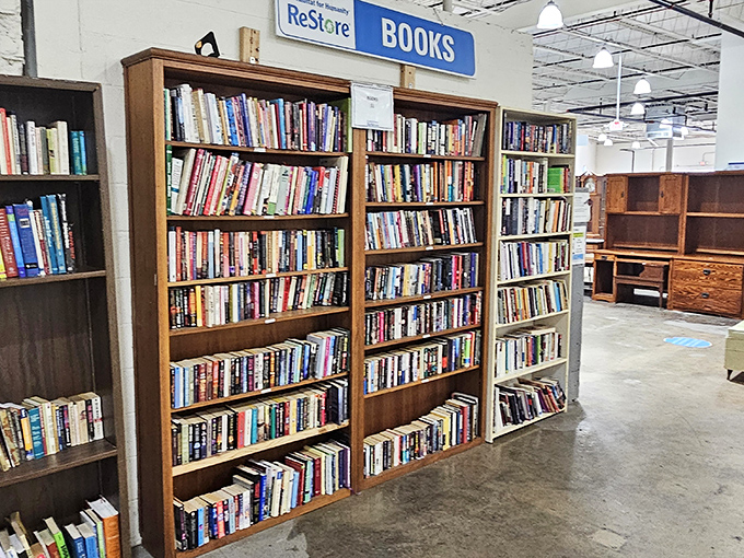 Floor-to-ceiling books waiting for new homes, like a library having a very generous going-away party.