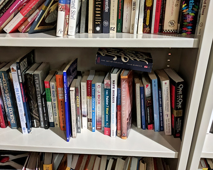 Literary treasures stacked spine-to-spine&mdash;where else can you find a cookbook, thriller, and self-help guide from three different decades for the price of a latte?