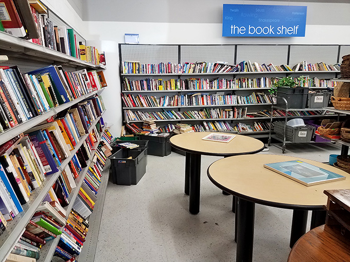 Bibliophile heaven! Thousands of stories waiting to be rediscovered for less than the price of a fancy coffee. The ultimate analog entertainment center.